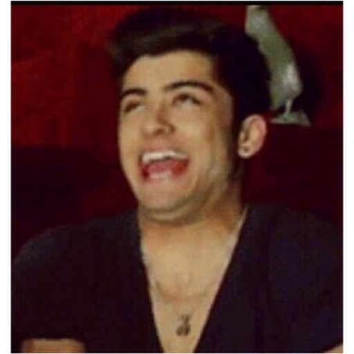 Sticker Maker - zayn